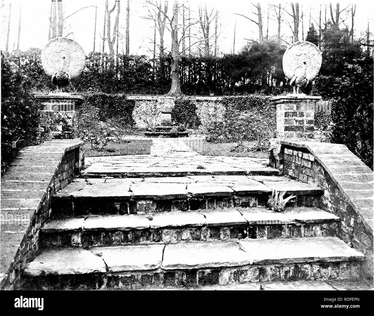 Markyate cell hi-res stock photography and images - Alamy