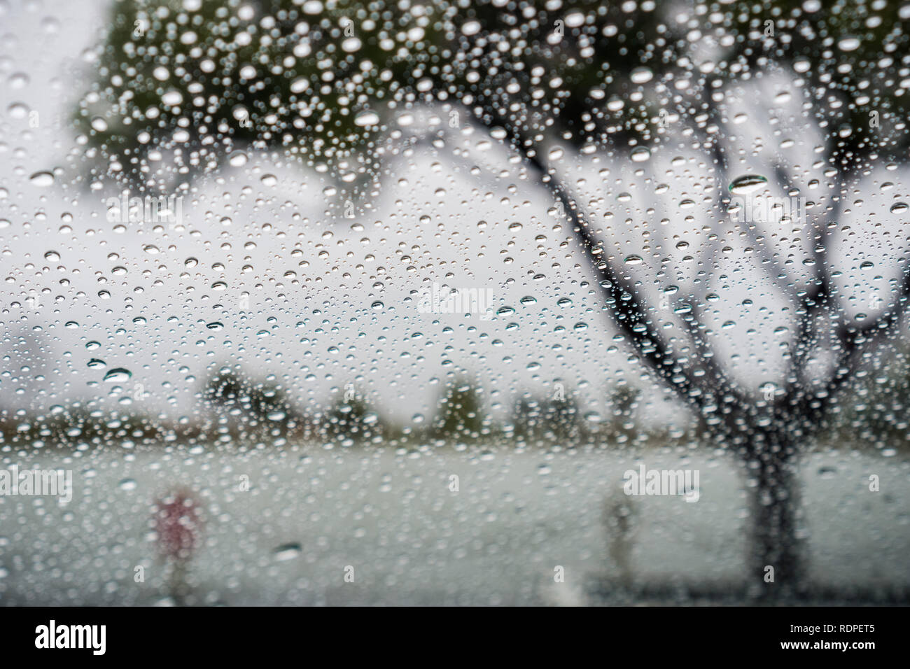 Shoreline texture hi-res stock photography and images - Alamy