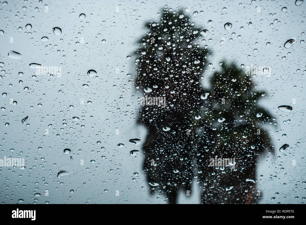 Rainy day through the window hi-res stock photography and images - Alamy