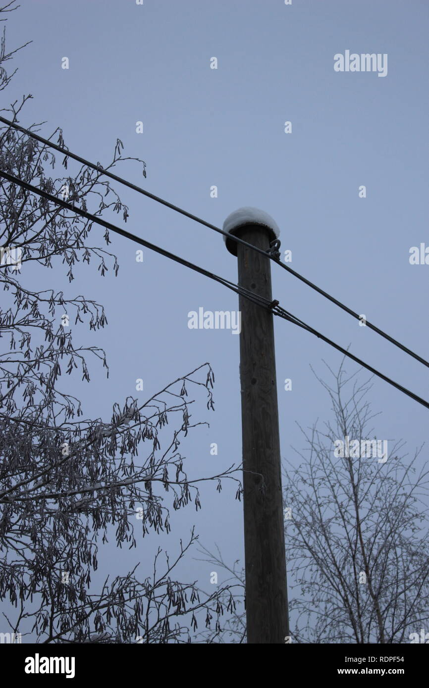 Pole forest hi-res stock photography and images - Alamy