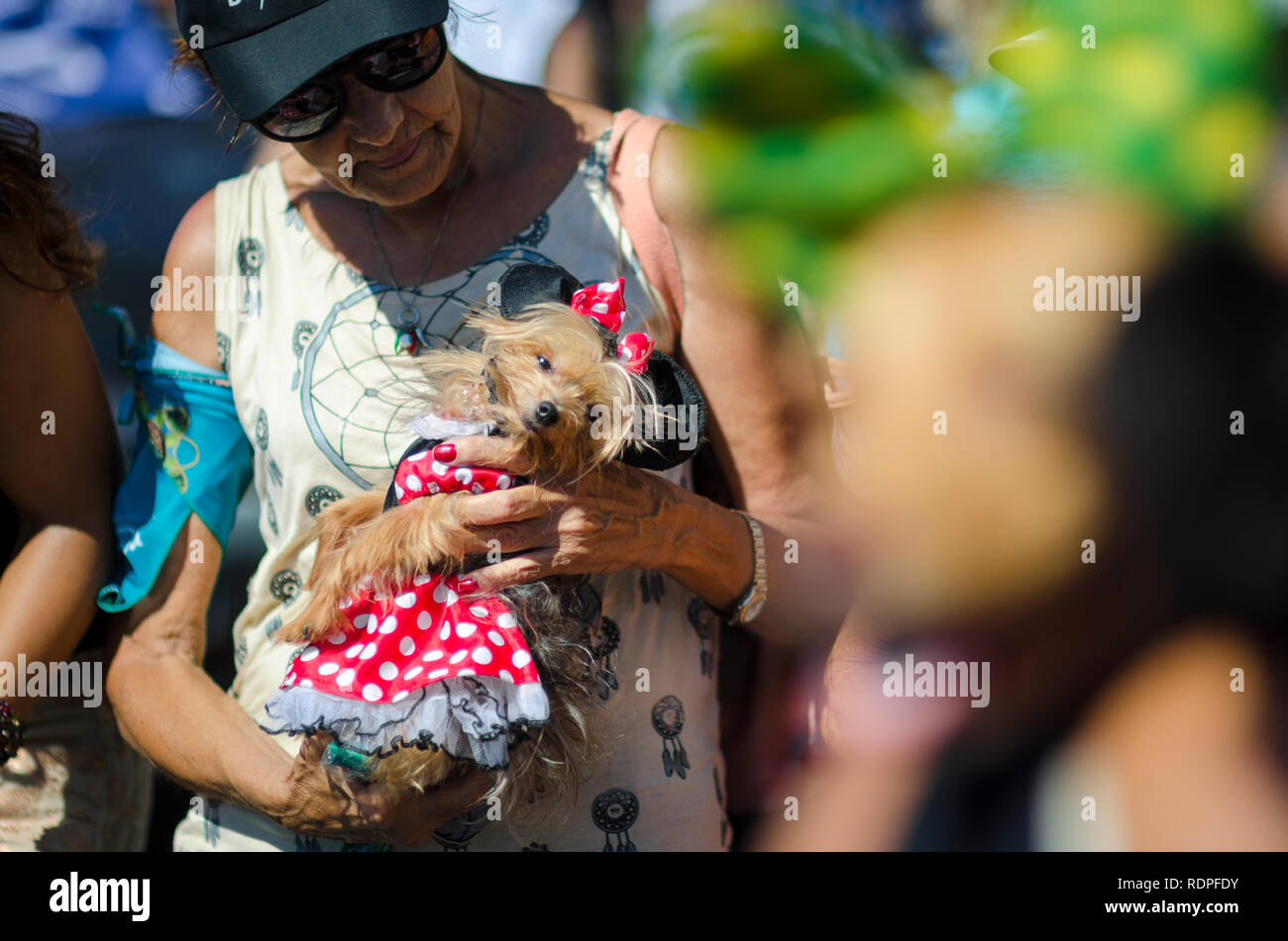 Río minnie hi-res stock photography and images - Alamy