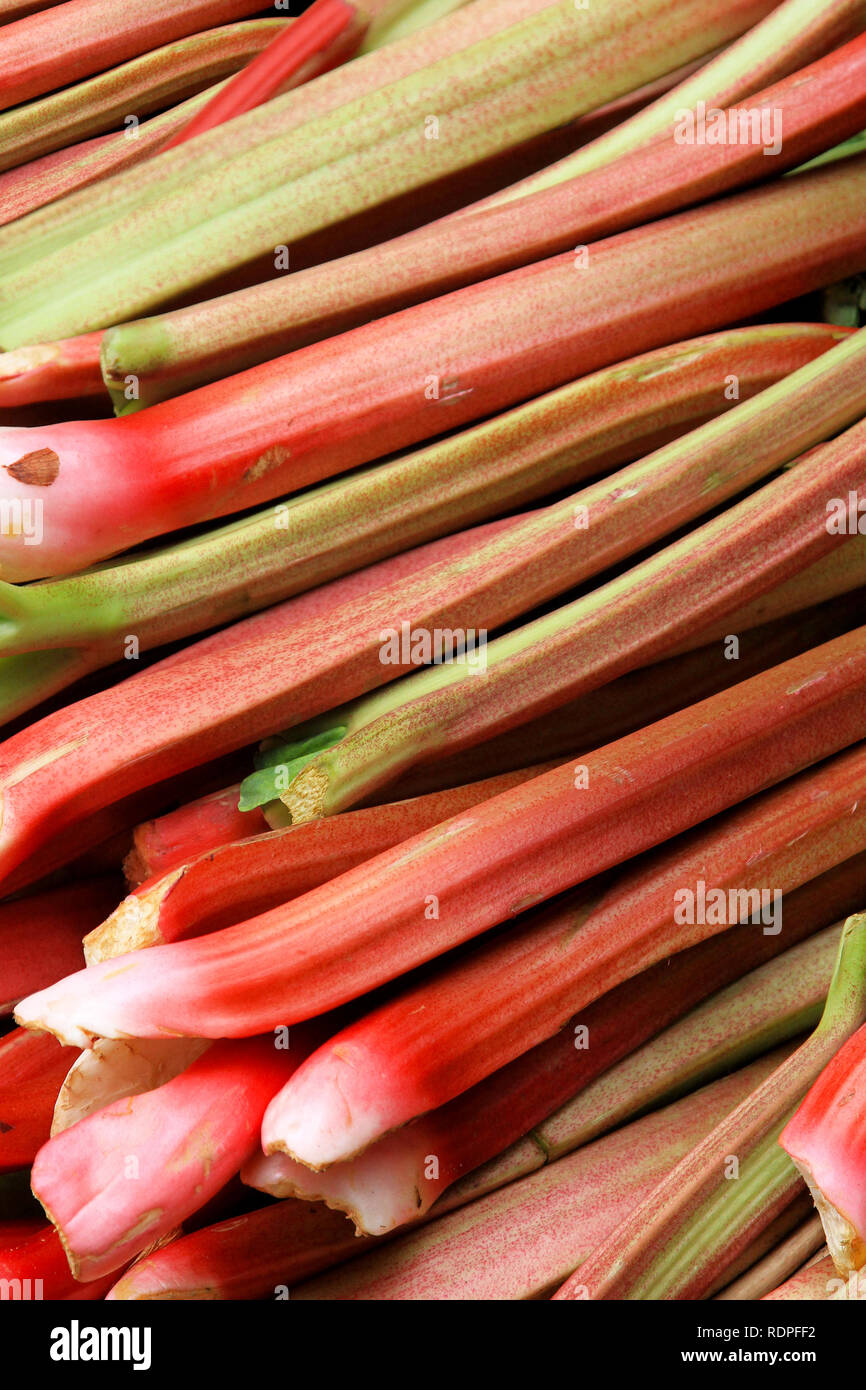 Big pile of organically grown rhubarb vegetable Stock Photo - Alamy