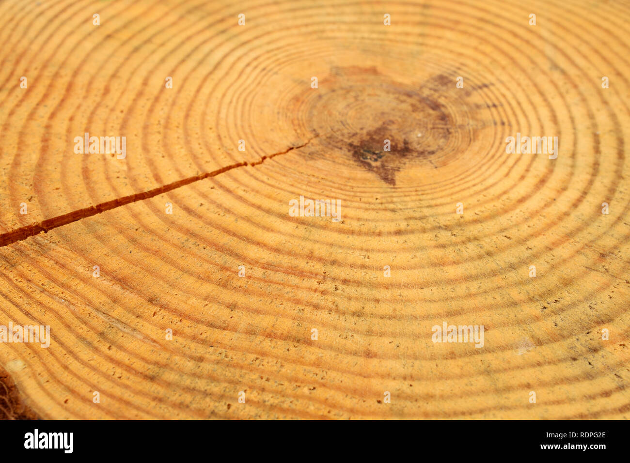 Split log building hi-res stock photography and images - Alamy