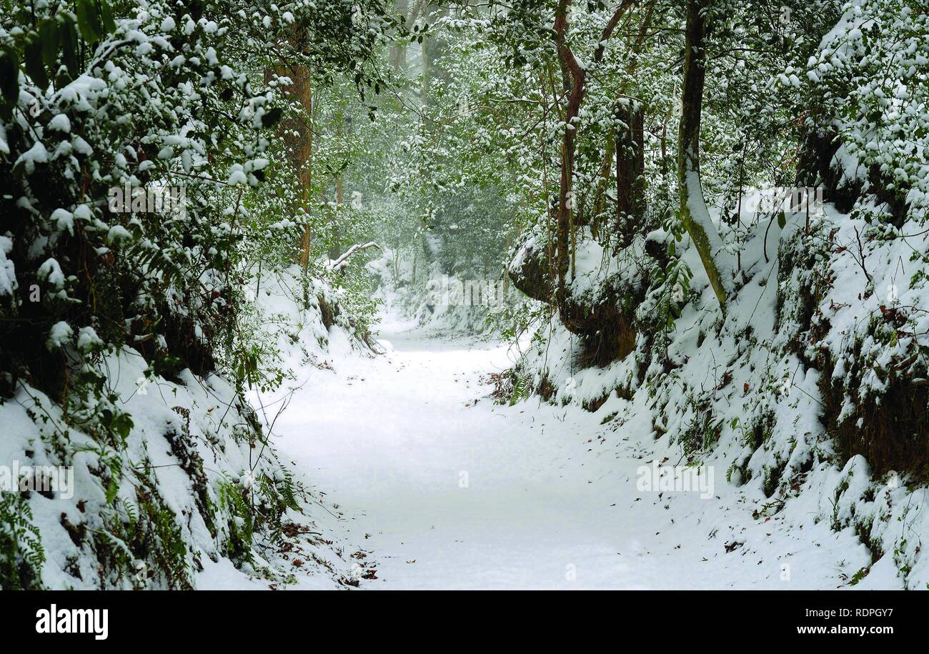 Dartmoor winter hi-res stock photography and images - Alamy