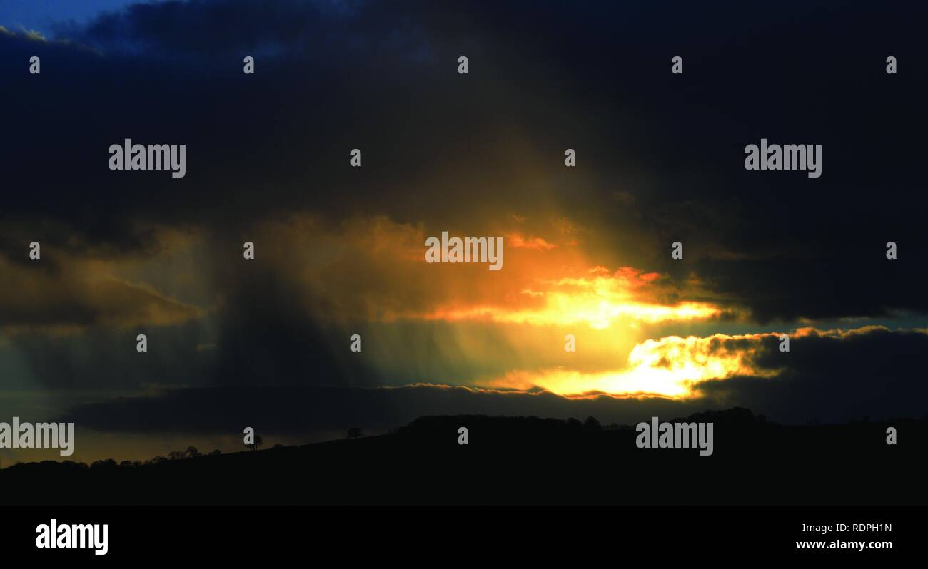 Amazing sunset with rain and bird in flight. Dramatic shafts of light ...