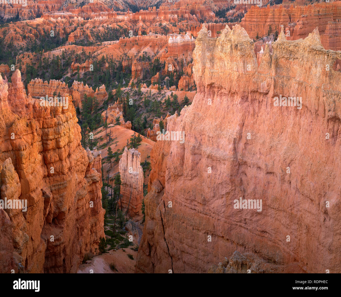 USA, Utah, Bryce Canyon National Park, Hoodoo formations along the ...