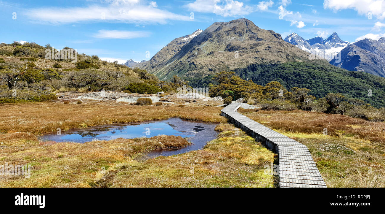Key Summit, Routeburn Track, Milford National Park, New Zealand, South ...