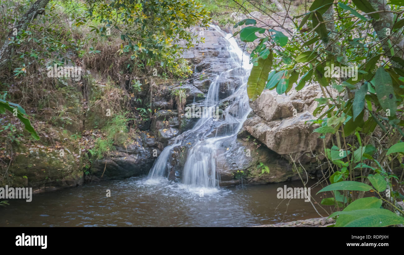 Wildlife and Nature at Lavras, Brazil Stock Photo - Alamy