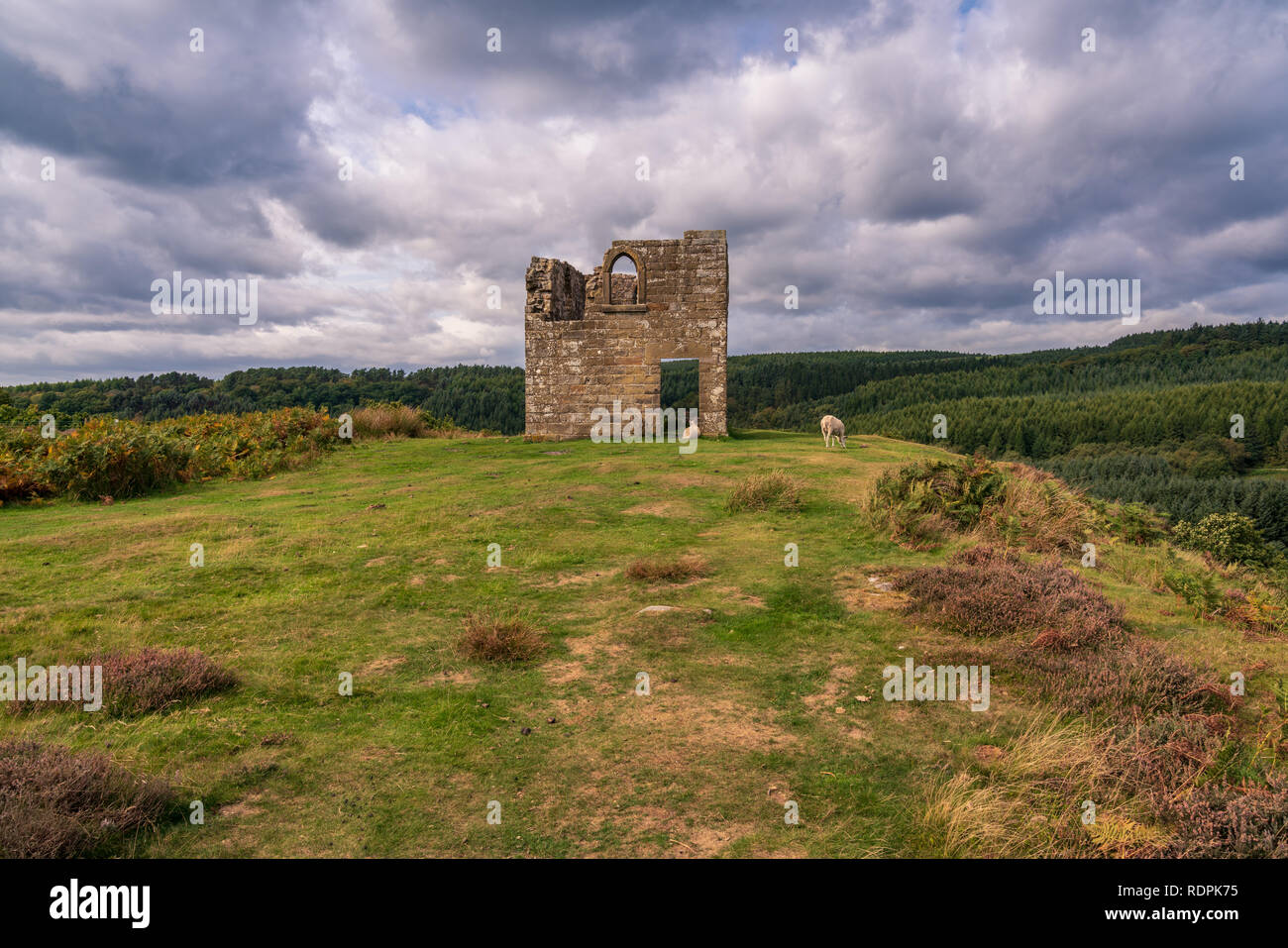 Levisham moor skelton tower hi-res stock photography and images - Alamy