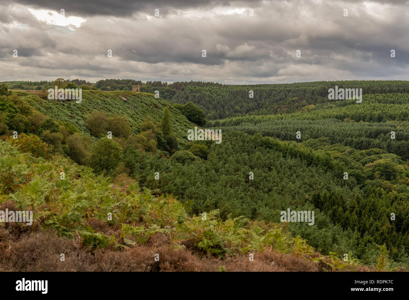 North York Moors landscape - looking from the Levisham Moor over ...