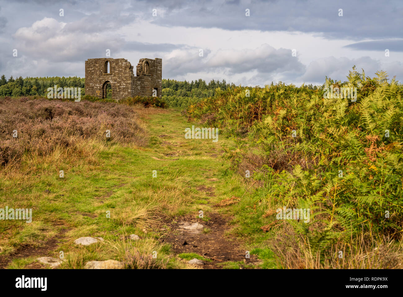 North York Moors landscape, looking at Skelton Tower, seen from the ...
