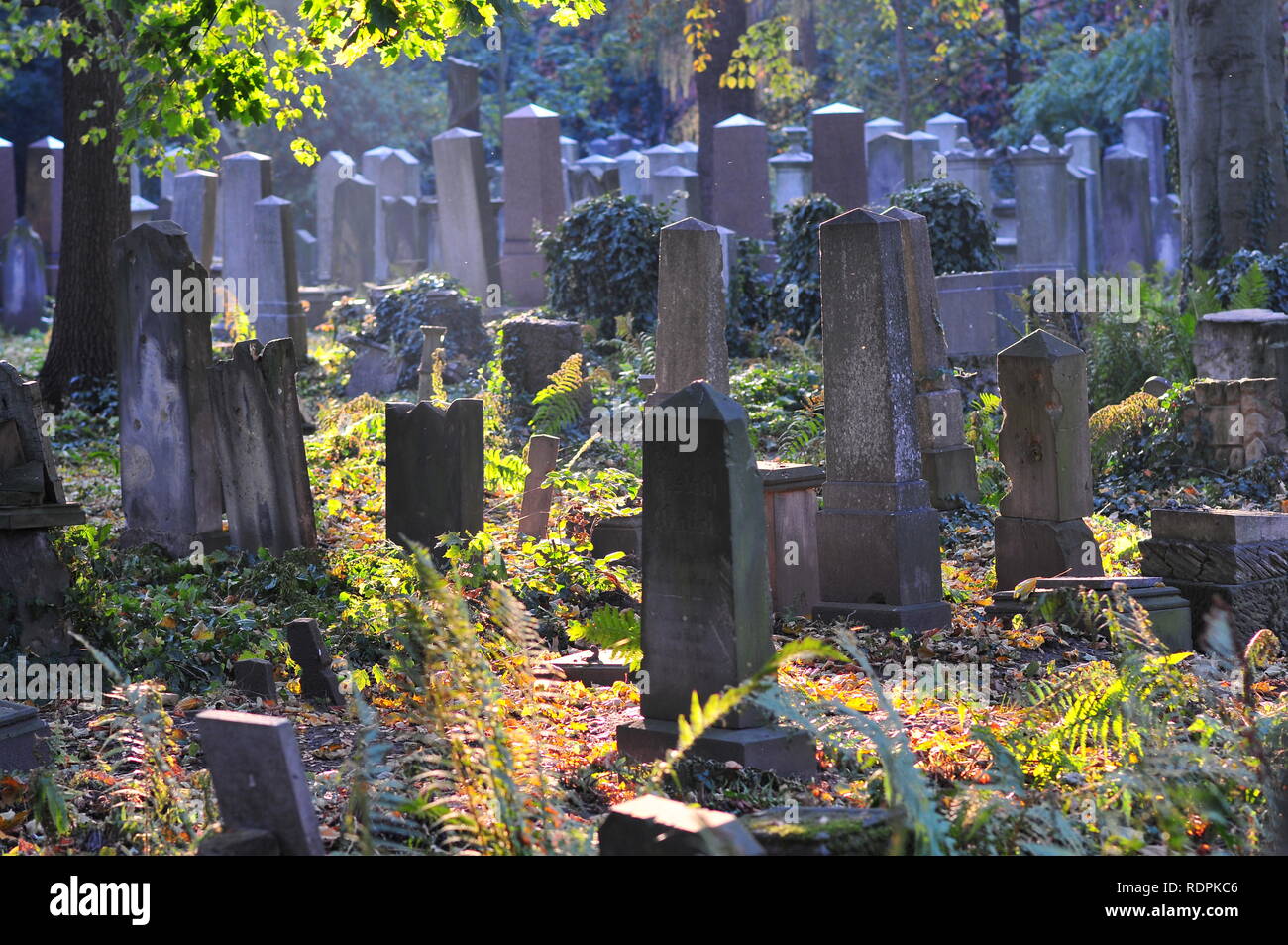 Wroclaw, Poland, September 2018. Graves in the old Jewish cemetery in ...