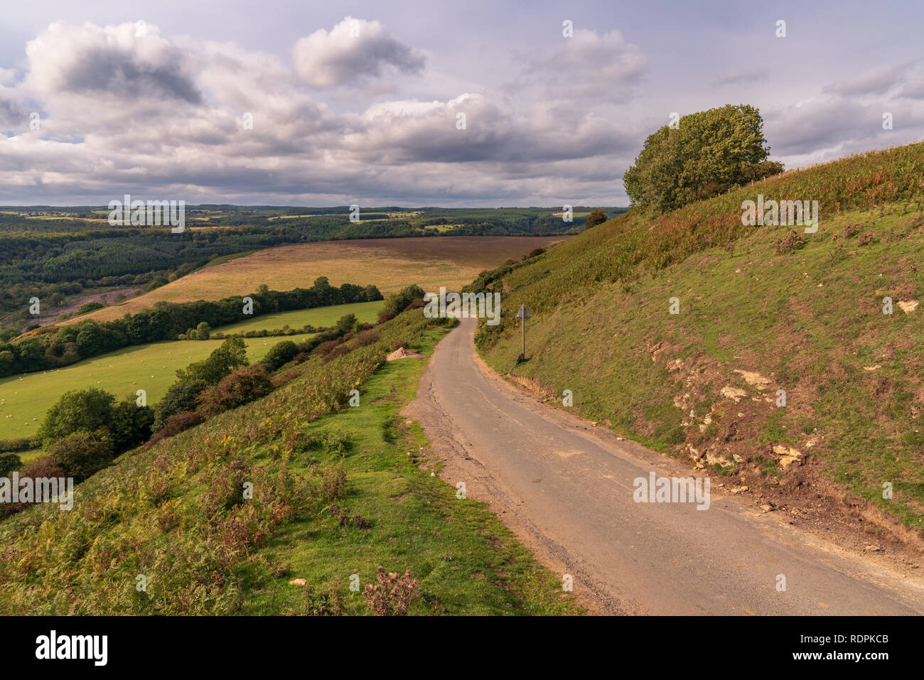 North York Moors landscape, at the Levisham Moor, North Yorkshire ...