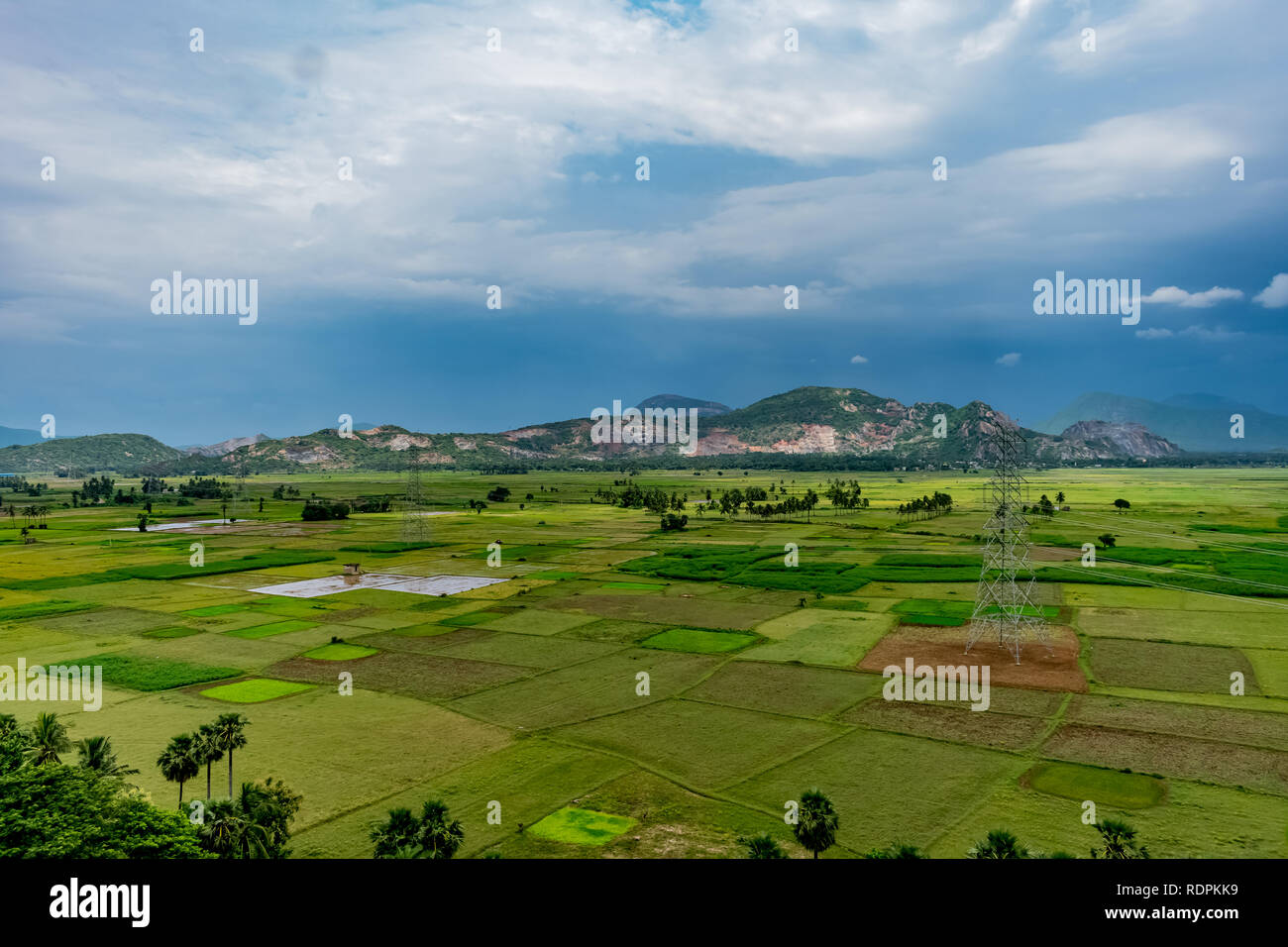 awesome top view of greenery grassland of paddy farm land with electric ...