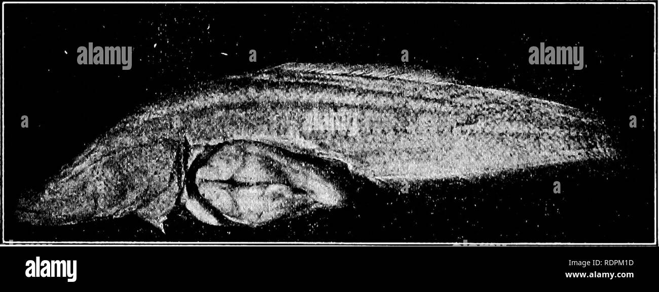 Red subterranea hi-res stock photography and images - Alamy