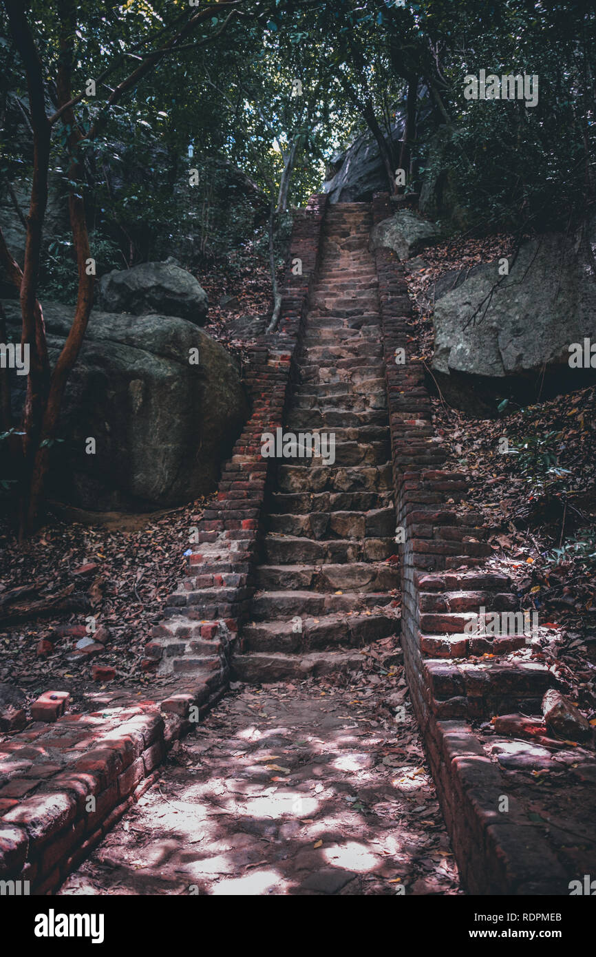 Steps to the top Stock Photo - Alamy