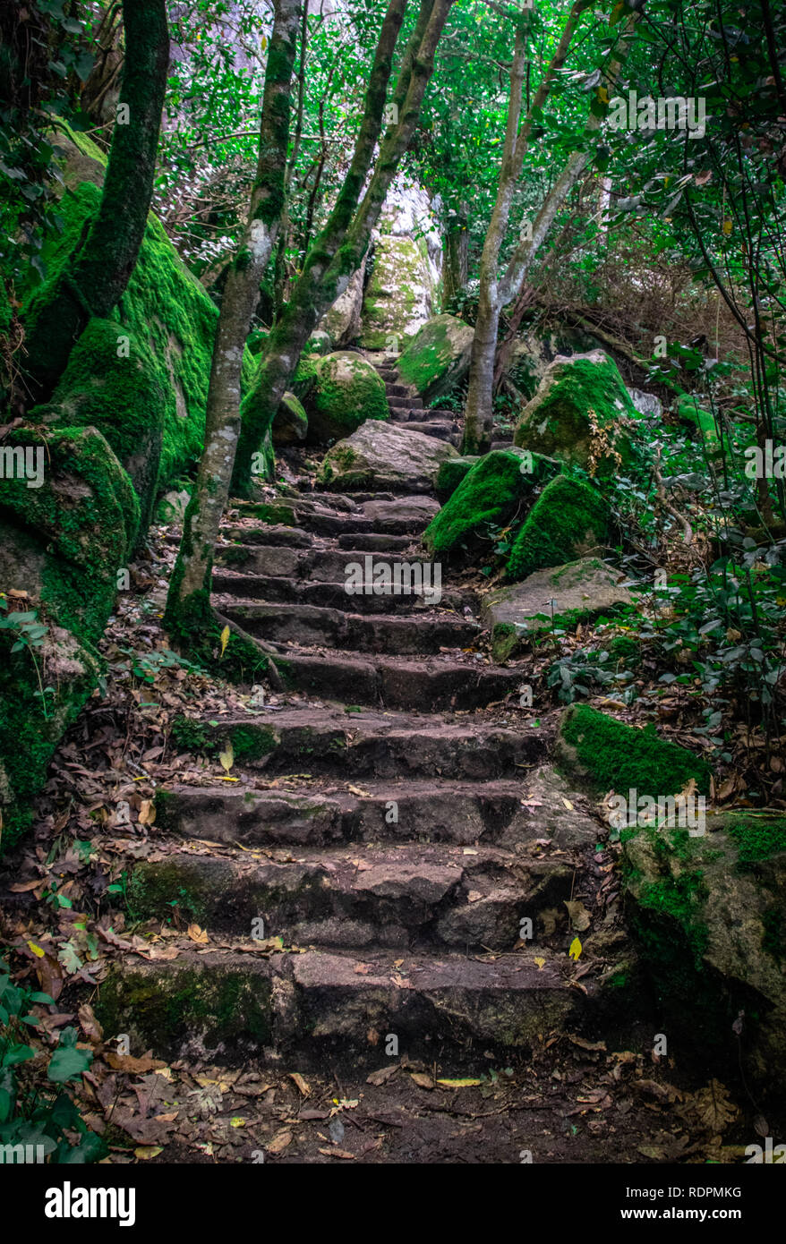 The steps to the top Stock Photo - Alamy