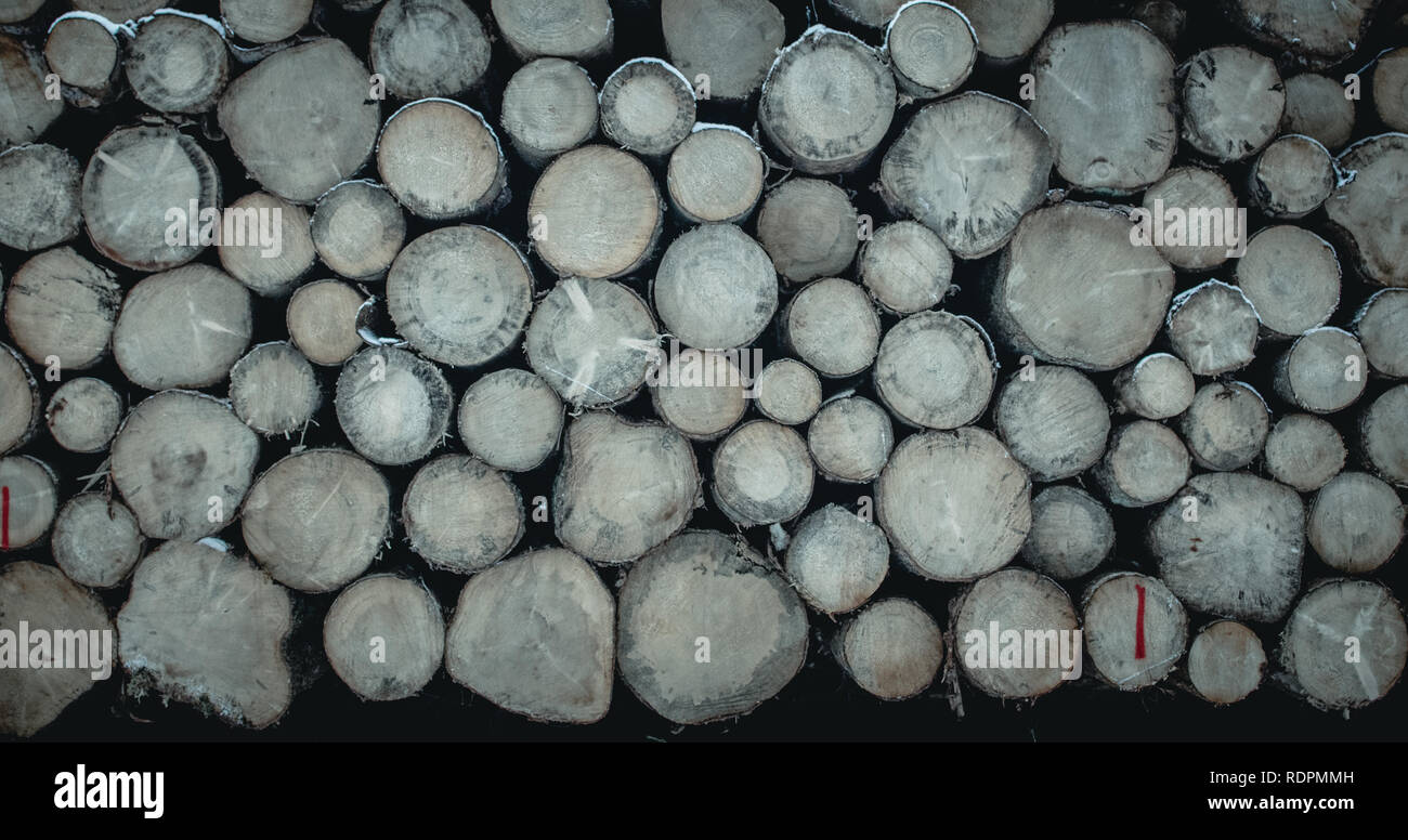 Tree in germany Stock Photo - Alamy