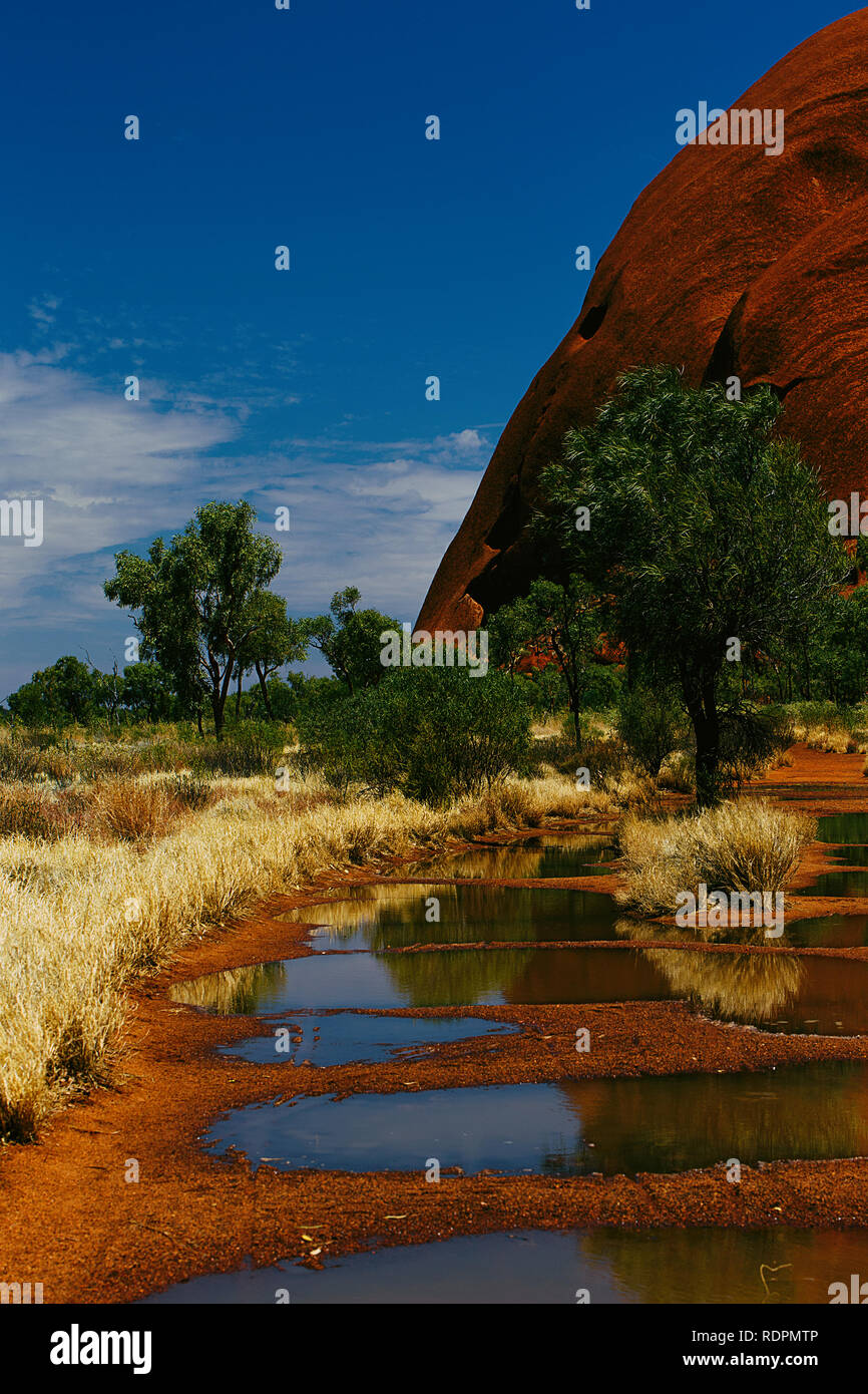 Uluru Fauna High Resolution Stock Photography and Images - Alamy