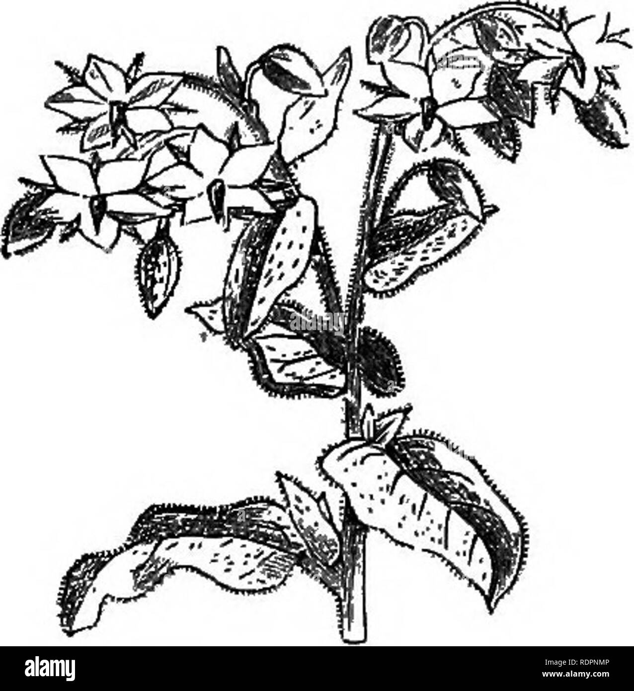 Winter cycles Cut Out Stock Images & Pictures - Alamy