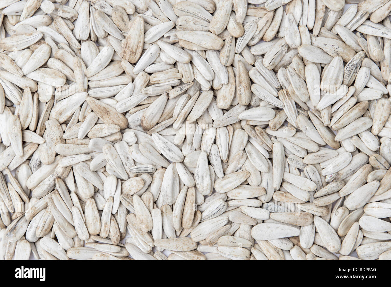 overhead view of white roasted sunflower seeds with spices and salt ...