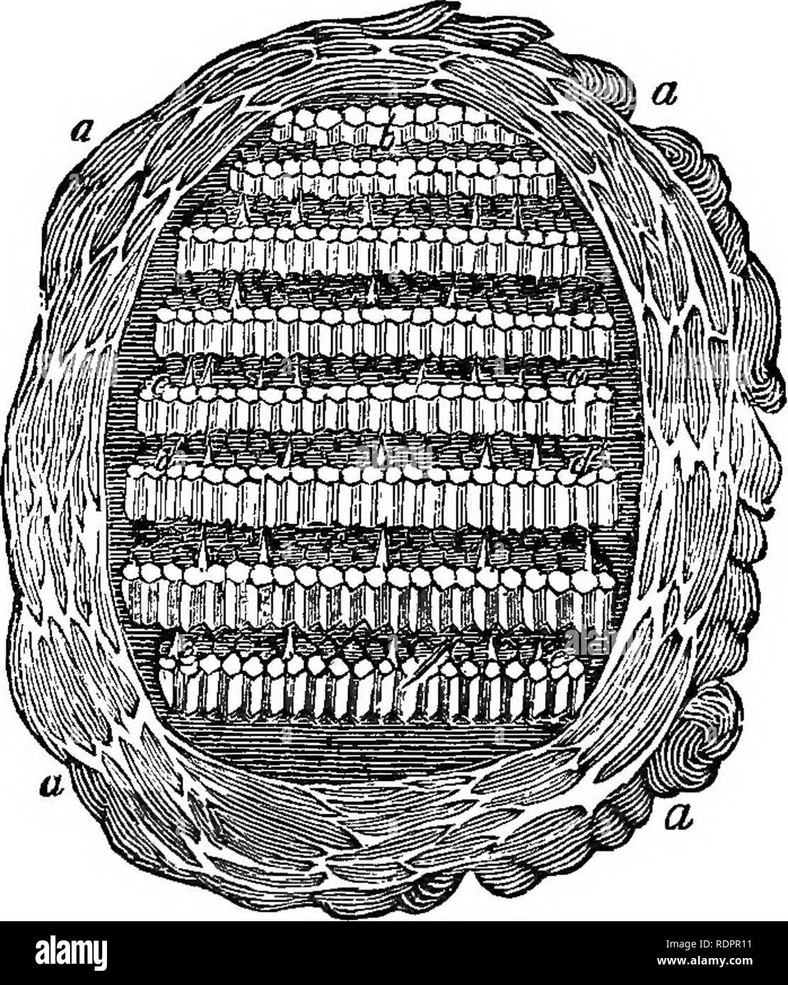 Pulp and pape Black and White Stock Photos & Images - Alamy