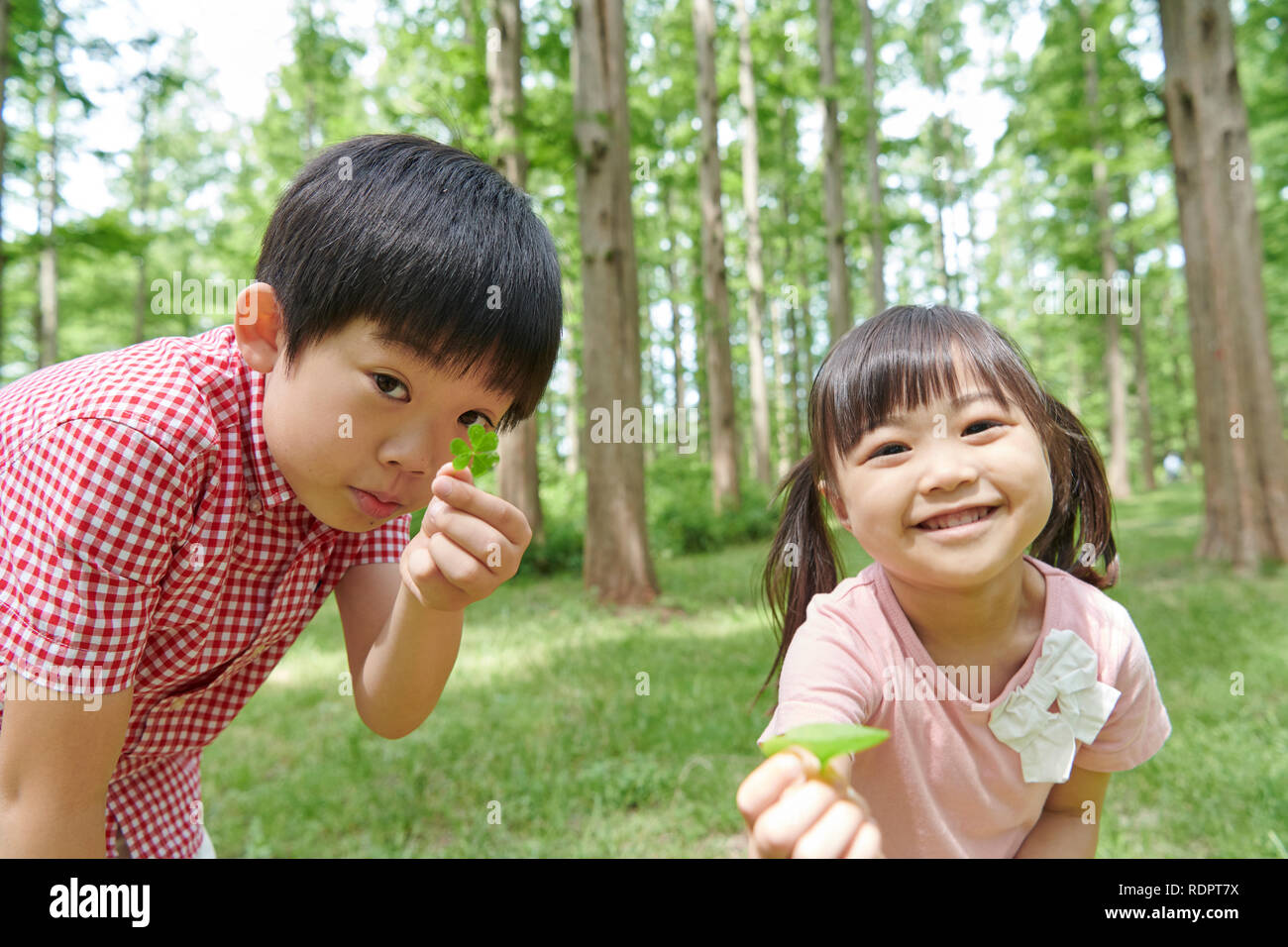 Japanese kids in a city park Stock Photo - Alamy