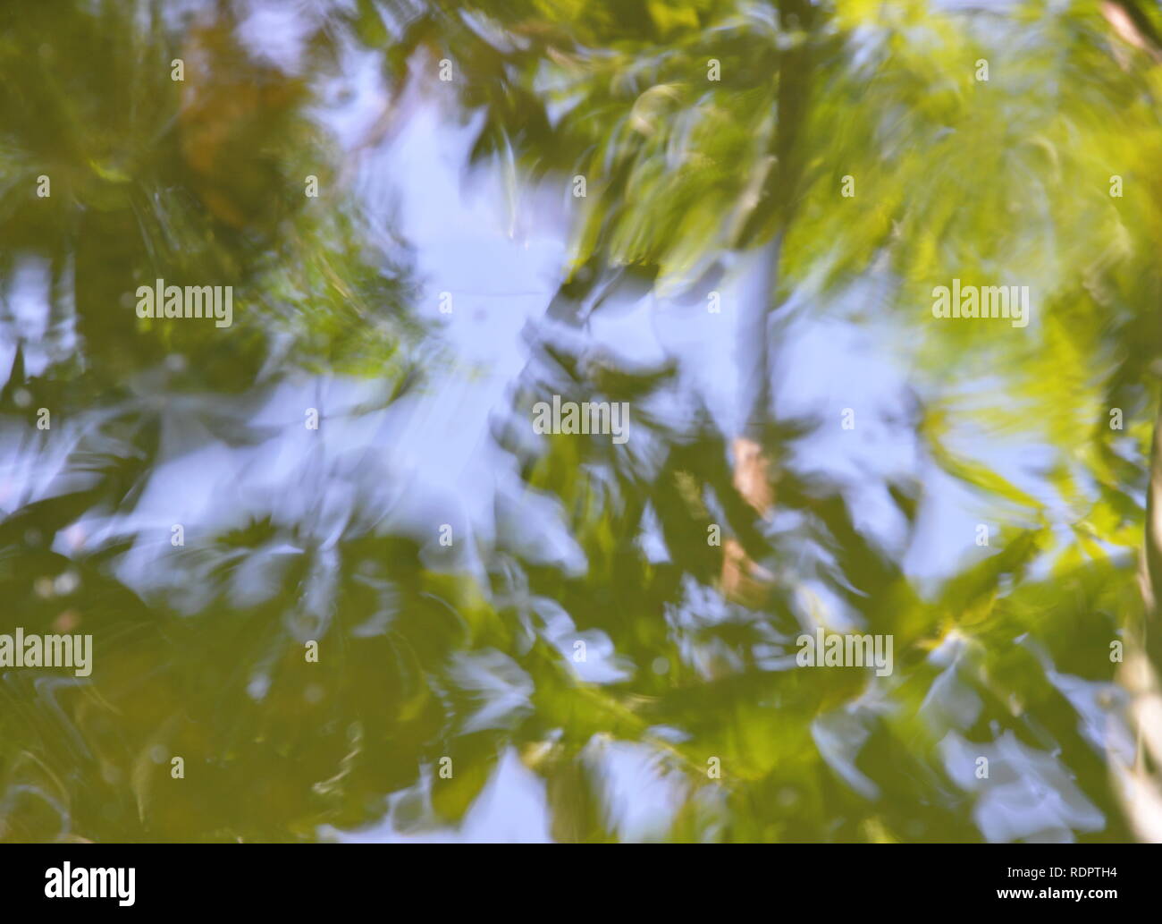 blurry of plant reflection on water surface background Stock Photo - Alamy