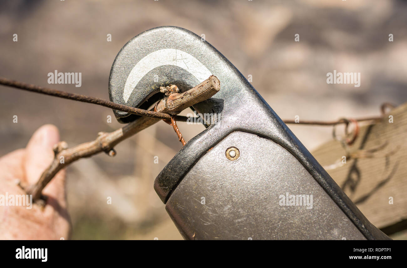Hand held tying machine hi-res stock photography and images - Alamy