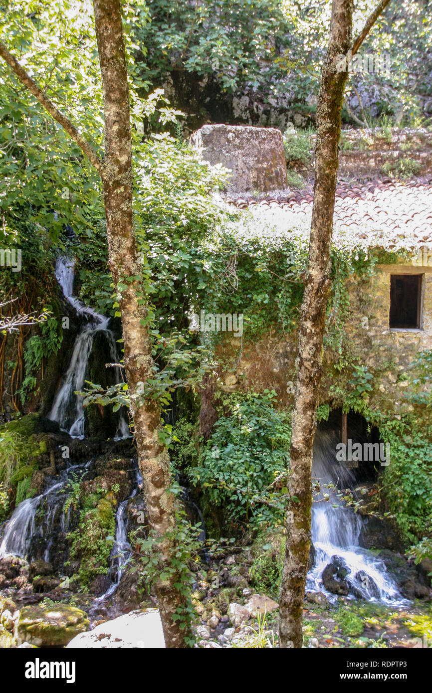 The ancient water mill in the natural reserve of Morigerati, by ...