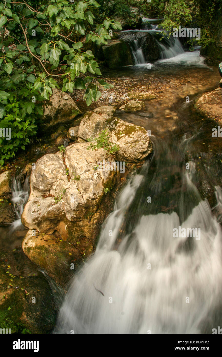 beautiful environment around the river Bussento resurgence, a natural ...