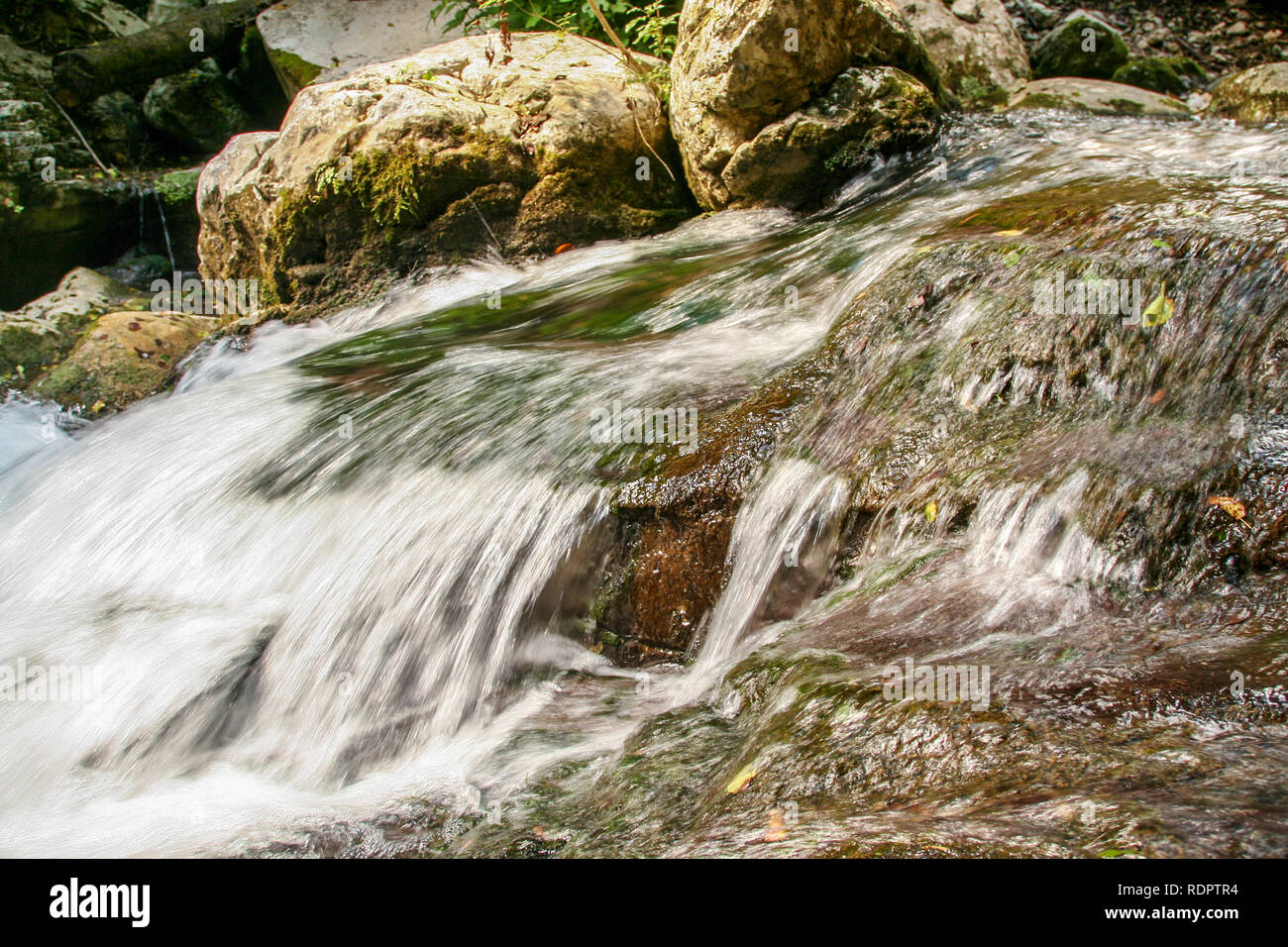 beautiful environment around the river Bussento resurgence, a natural ...