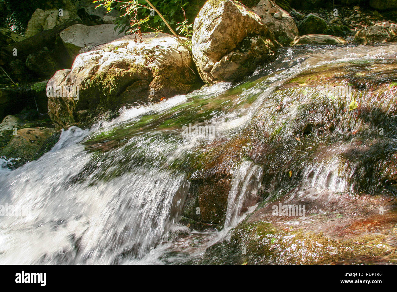beautiful environment around the river Bussento resurgence, a natural ...