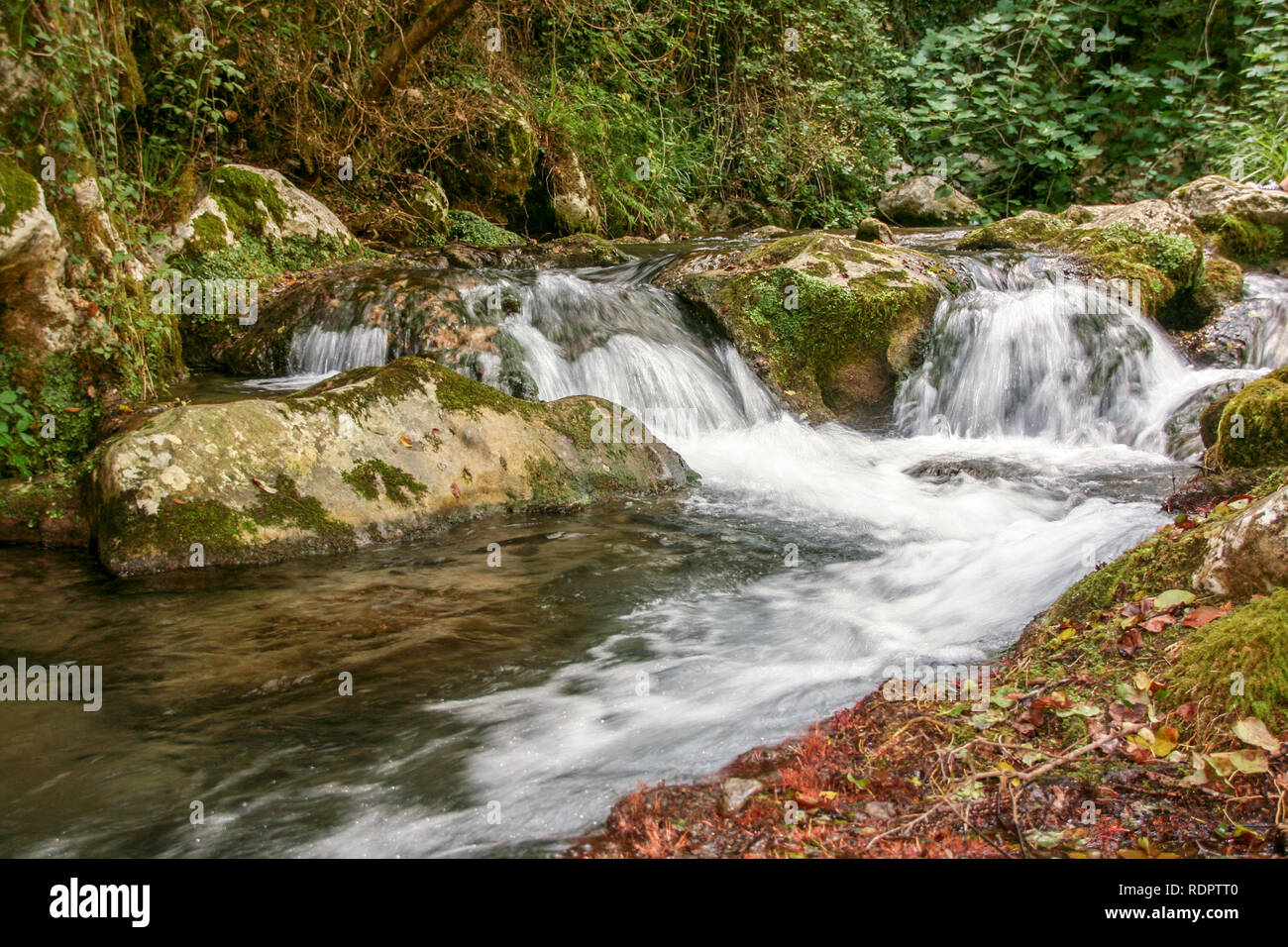 beautiful environment around the river Bussento resurgence, a natural ...