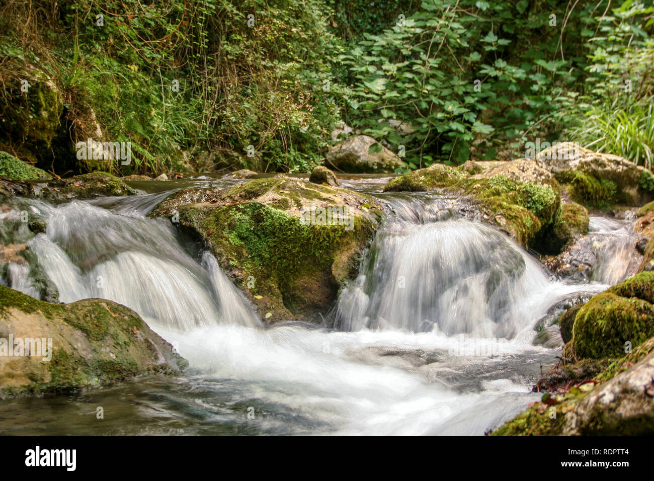 beautiful environment around the river Bussento resurgence, a natural ...
