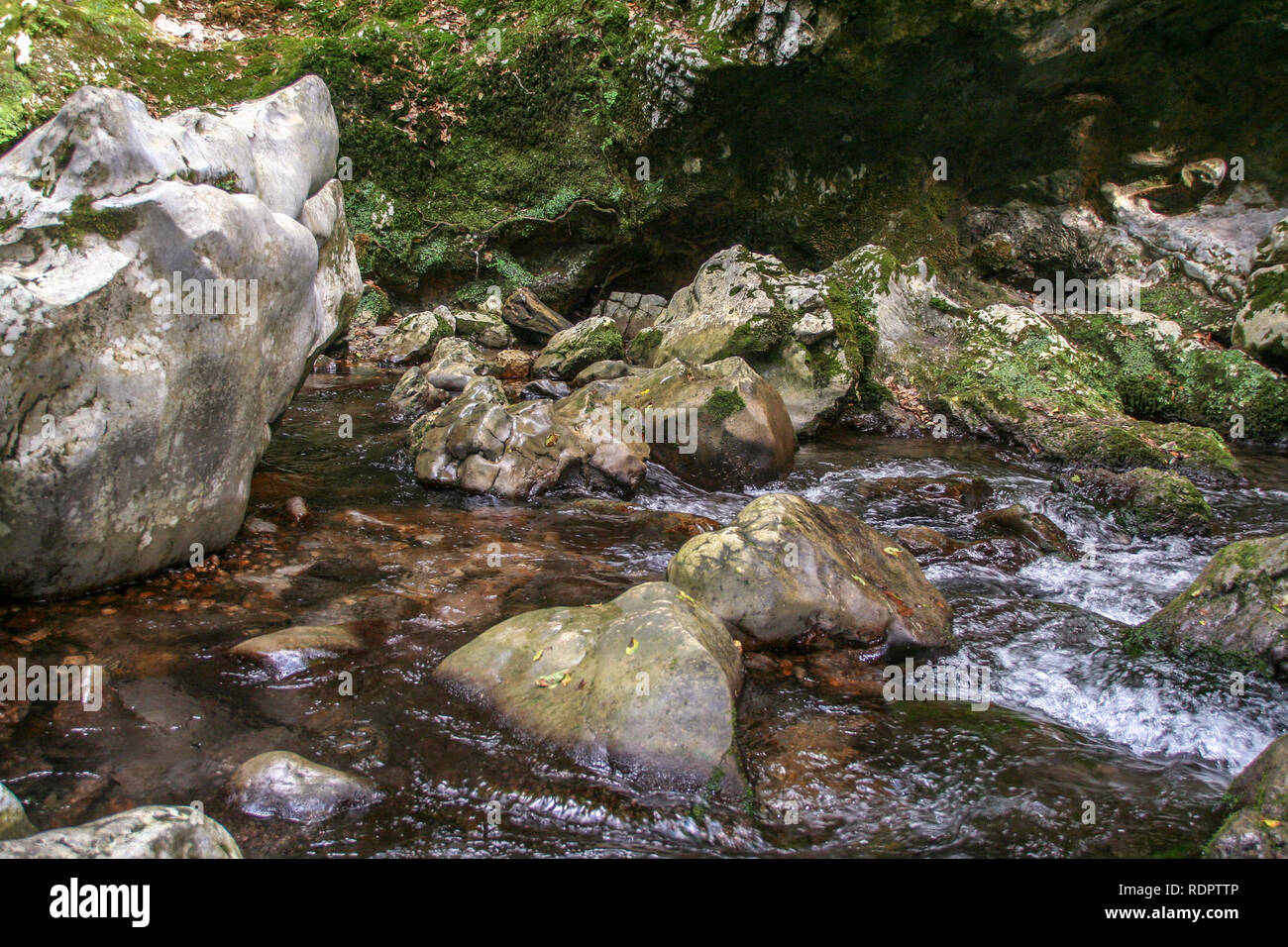 beautiful environment around the river Bussento resurgence, a natural ...