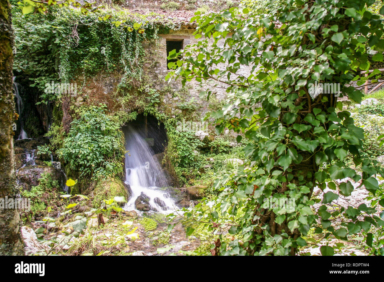 The ancient water mill in the natural reserve of Morigerati, by ...