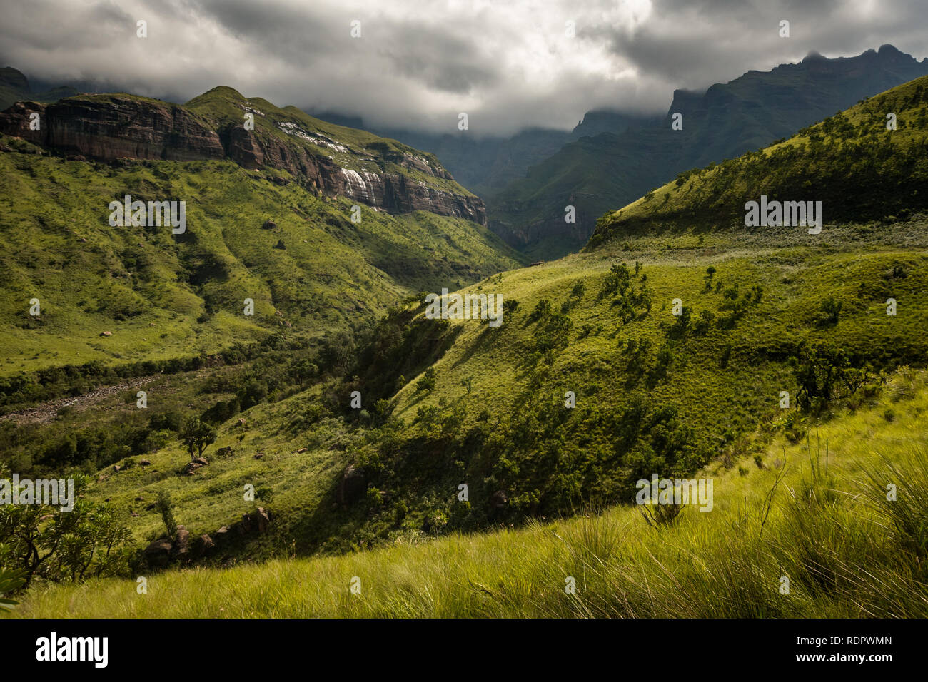 Mountain views on the Thukela hike to the bottom of the Amphitheatre's ...