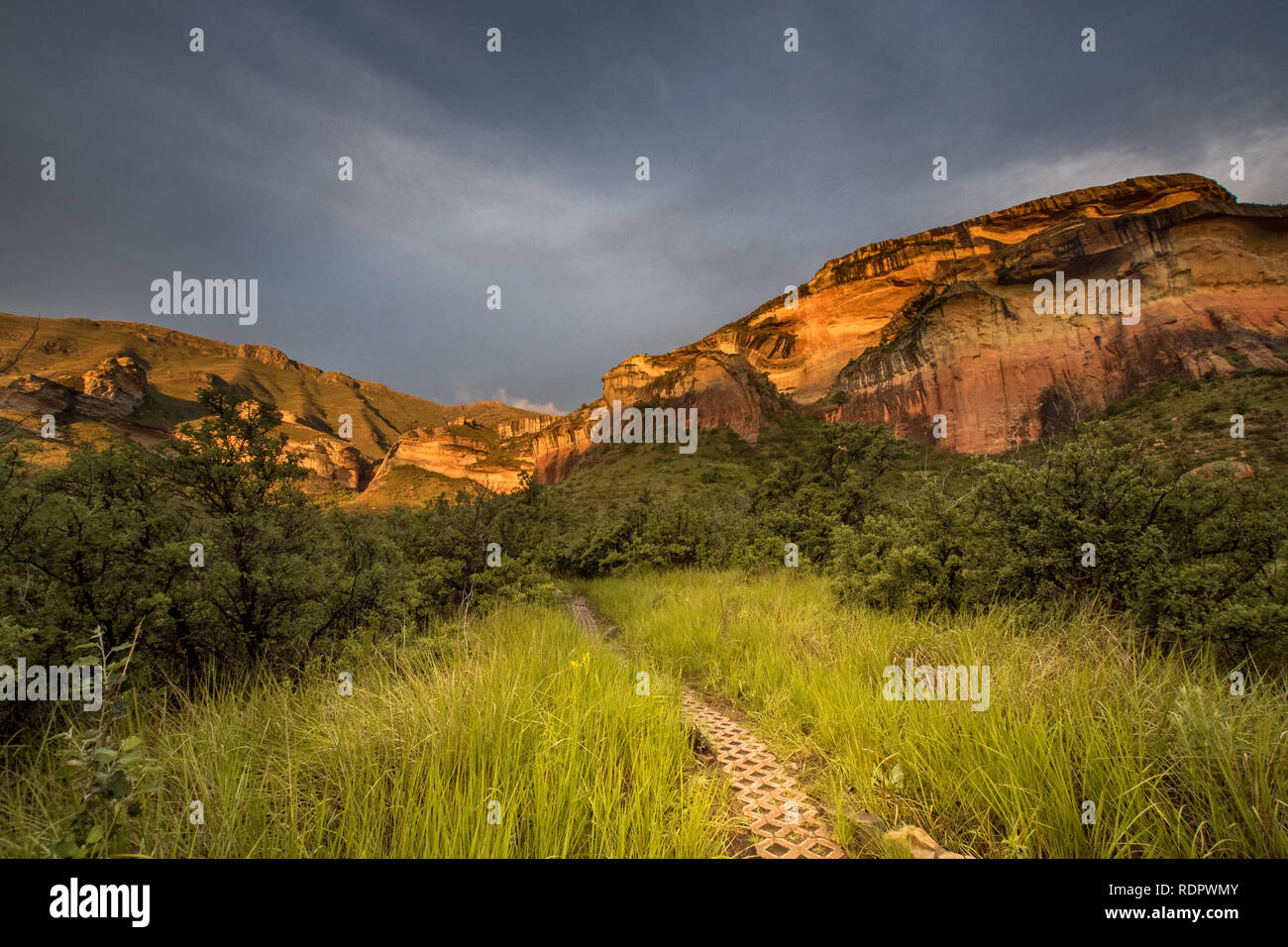 Golden gate highlands trail hi-res stock photography and images - Alamy