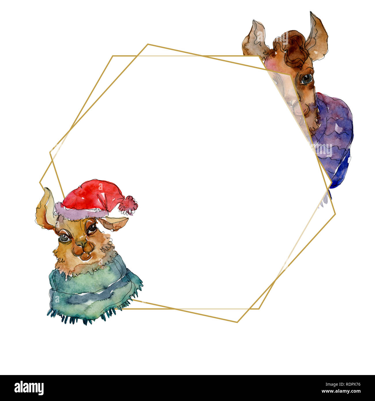 Cartoon character lama animal in a watercolor style. Watercolor ...