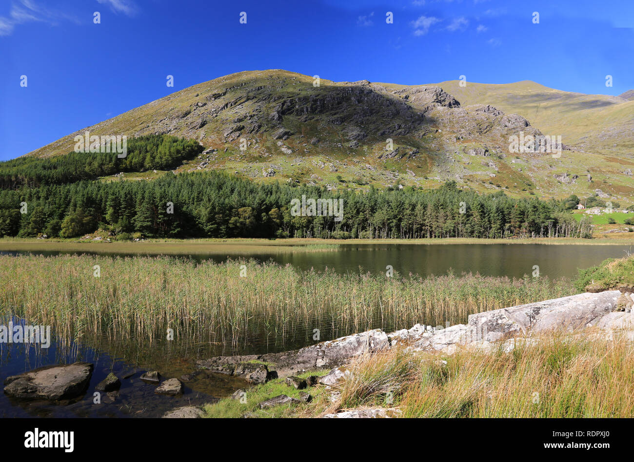 small fresh water lake hidden under irelands highest mountain, black ...