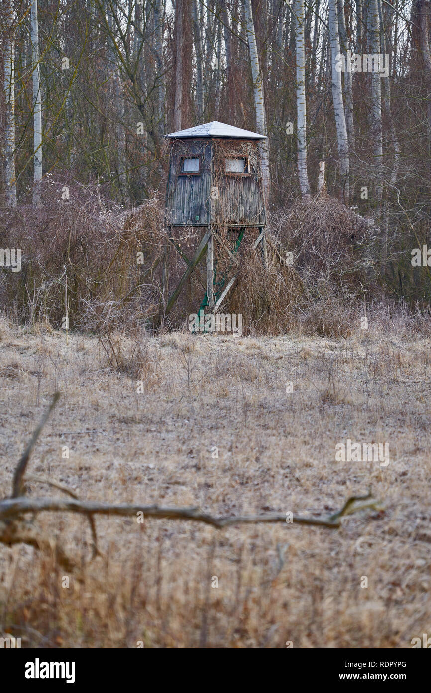 High stand and forest Stock Photo - Alamy