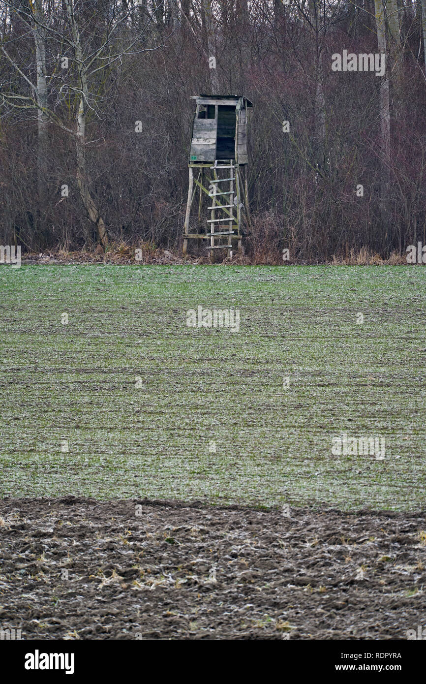 High stand and forest Stock Photo - Alamy