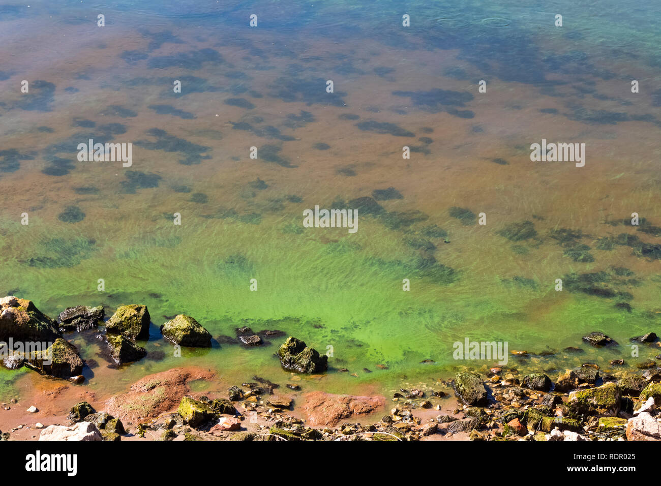 Green dirty water hi-res stock photography and images - Alamy