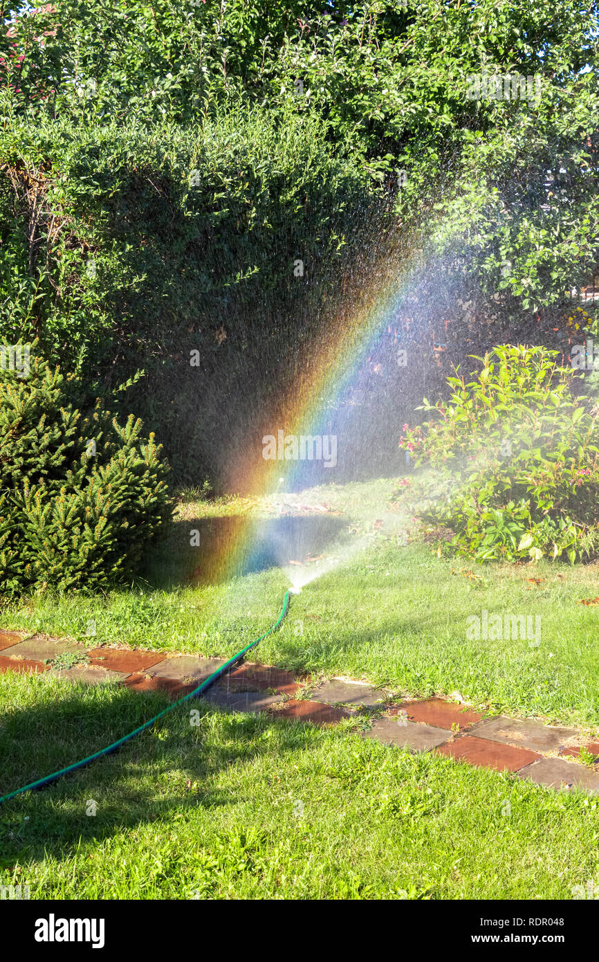 Rainbow in the spray of water when watering the garden area Stock Photo ...