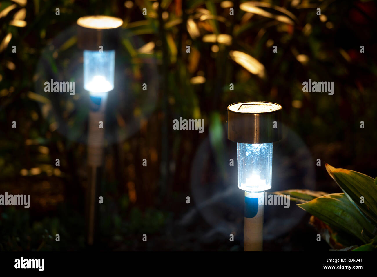 Night garden LED lights with a blue glow Stock Photo - Alamy