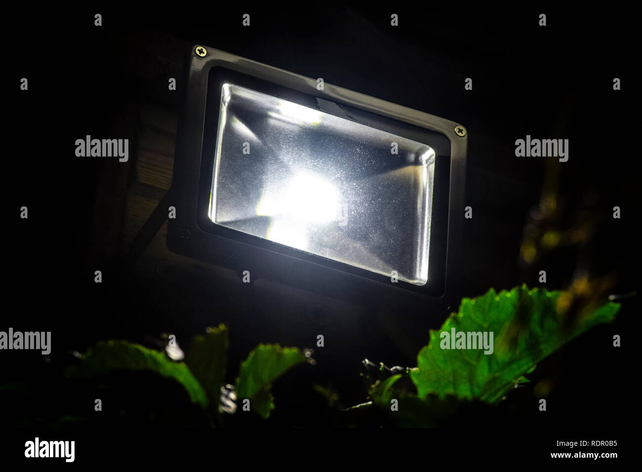 Modern Front Yard Lighting High Resolution Stock Photography and Images ...