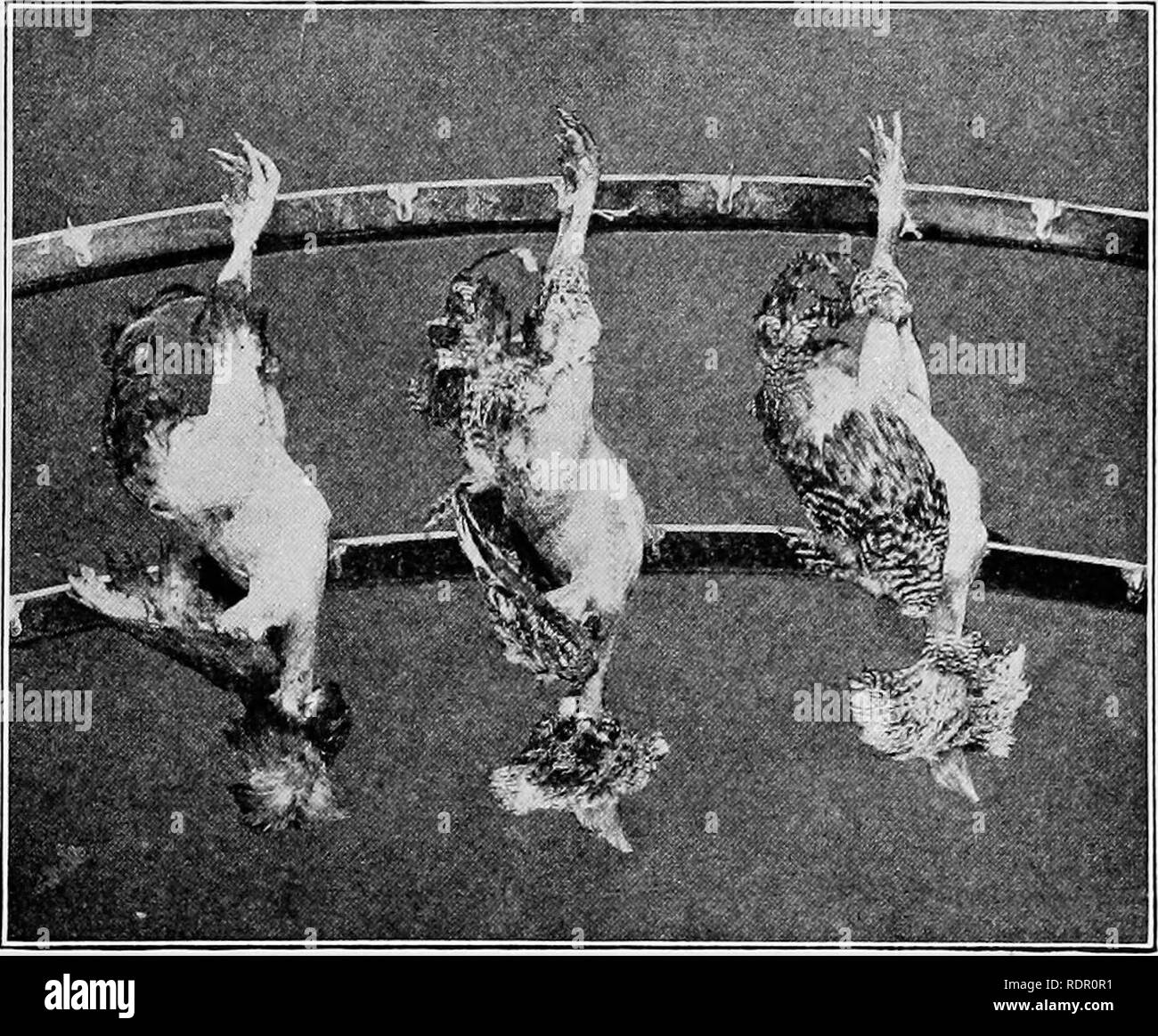 Dressing process Black and White Stock Photos & Images - Alamy