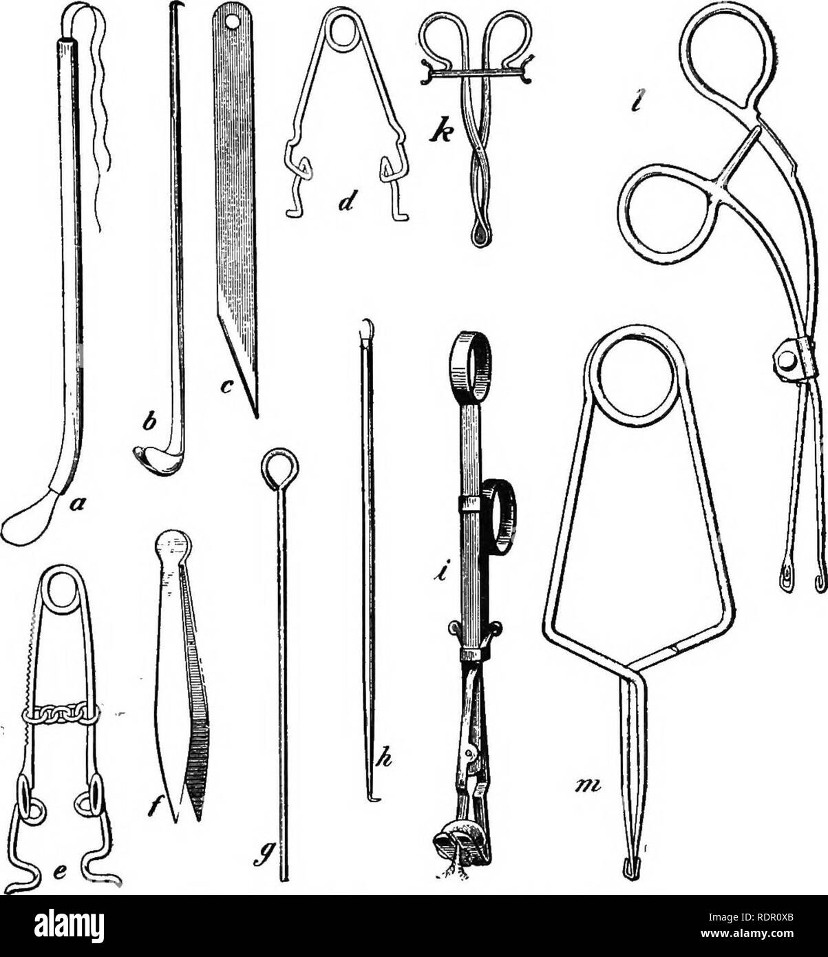 Well used bird table hi-res stock photography and images - Alamy