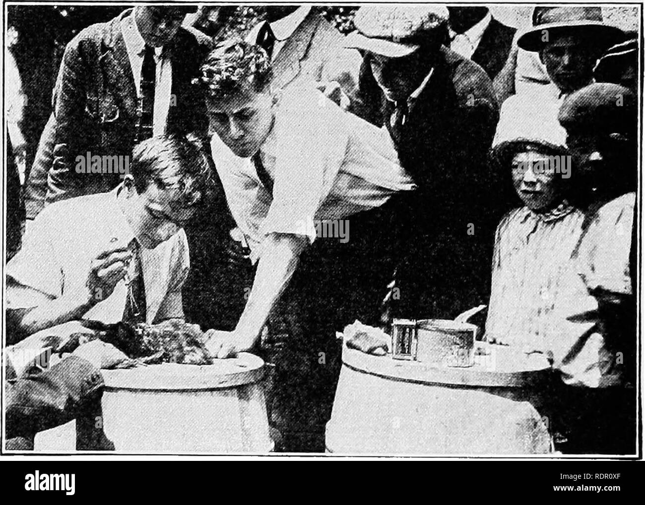 Remove the testicles Black and White Stock Photos & Images - Alamy